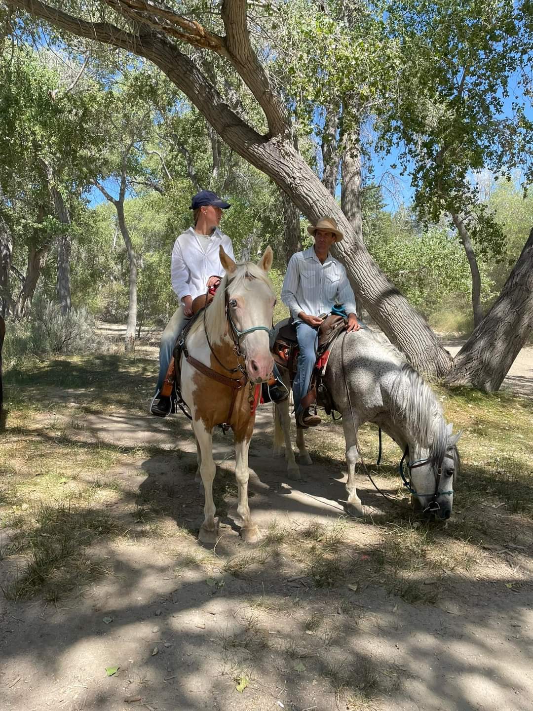 Beautiful Family Trail Riding Horse - Equine